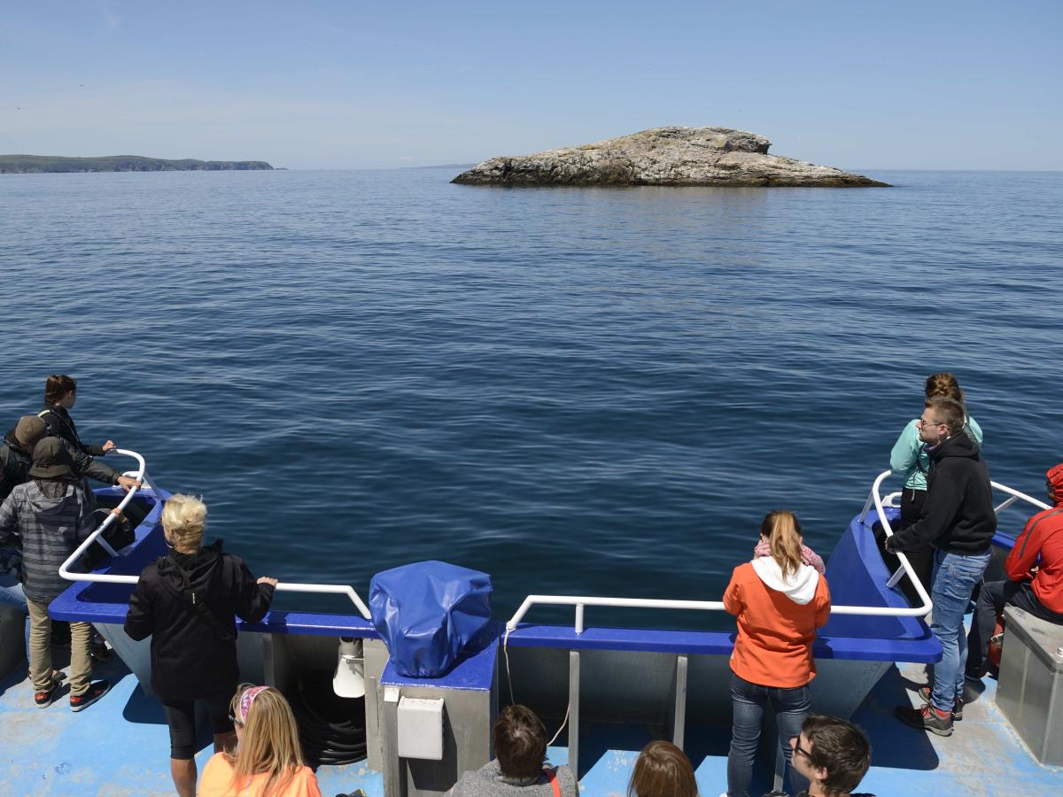 Maps, plans and brochures | Tourism Saint-Pierre and Miquelon