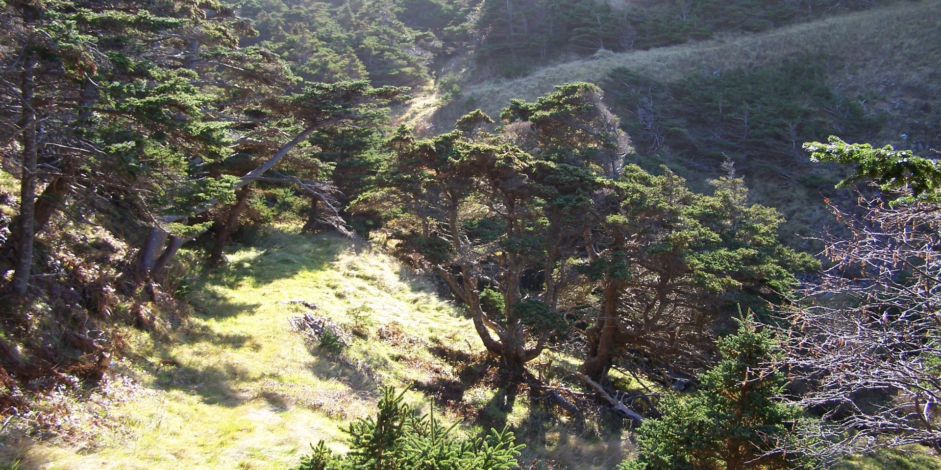 Pointe Plate (Trail) | Tourism Saint-Pierre and Miquelon