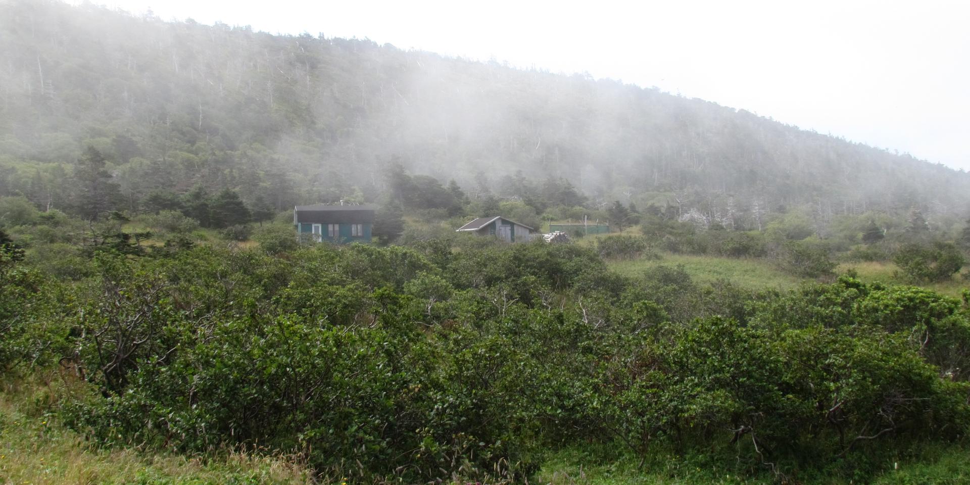 Pointe Plate (Trail) | Tourism Saint-Pierre and Miquelon