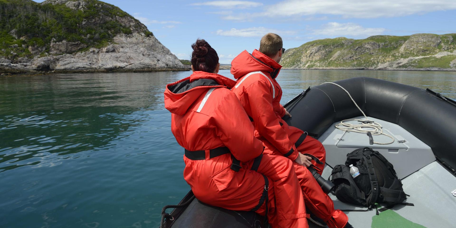 Observer la faune marine | Tourisme Saint-Pierre et Miquelon